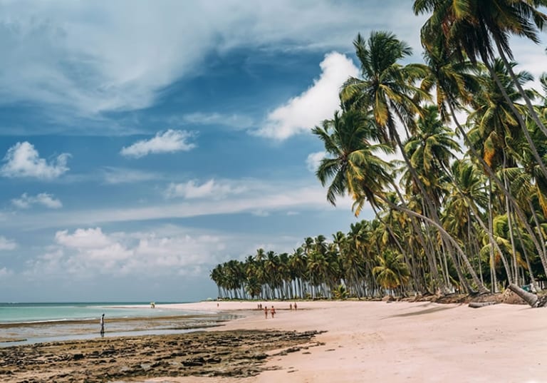 Melhores praias de Recife e arredores: conheça as TOP 10 praias imperdíveis