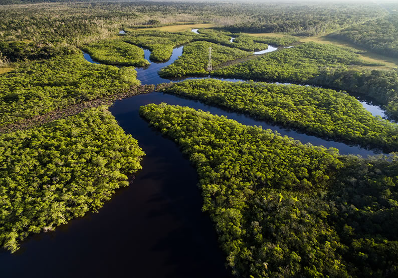 Viagem para Amazônia: dicas, passeios e principais atrativos turísticos