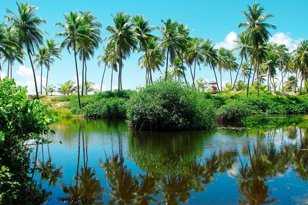 Confira as principais praias da Bahia que você precisa conhecer