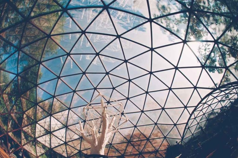 Inhotim: tudo sobre o maior museu a céu aberto do mundo