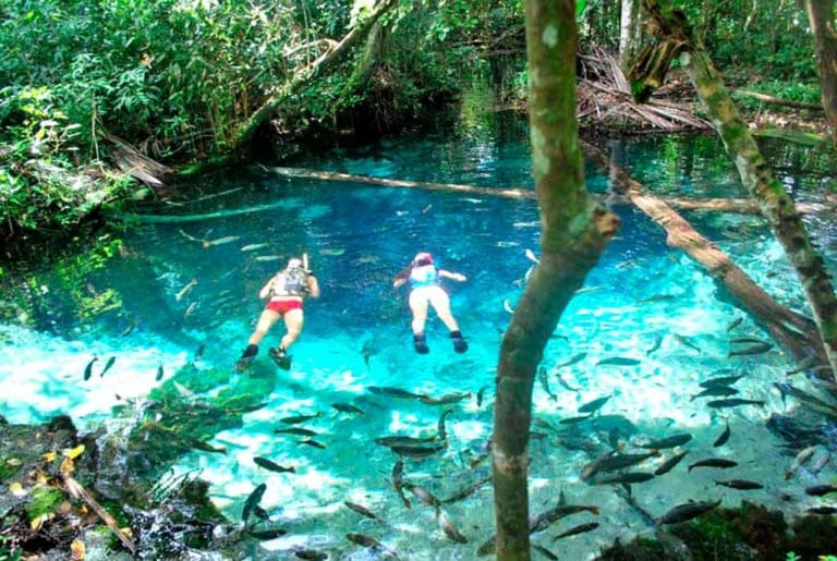 Nobres, Mato Grosso: 7 locais para ecoturismo com economia