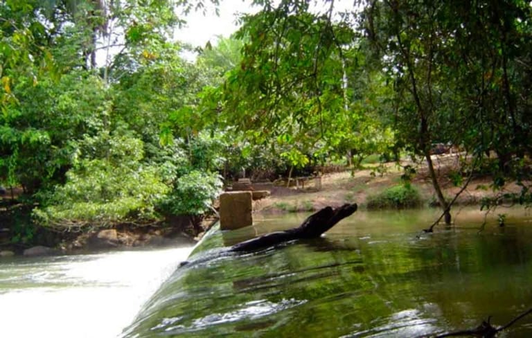 Nobres, Mato Grosso: 7 locais para ecoturismo com economia