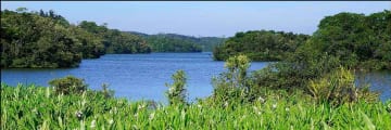 São Bernardo do Campo, SP: mapa, clima e atrações turísticas