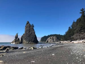 Forks, Washington: onde fica, clima, como chegar e passeios