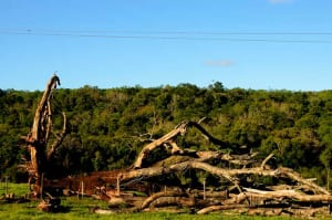 Timbó, SC: como chegar, mapa, pontos turísticos e curiosidades