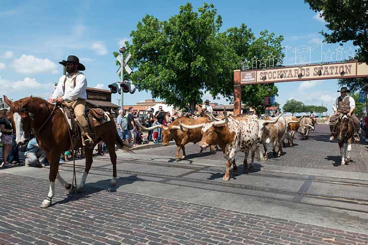 Cidades do Texas: dicas de destinos, mapa e curiosidades