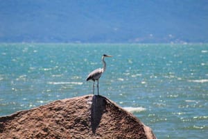 Imbituba, SC: praias, pontos turísticos, mapa e informações