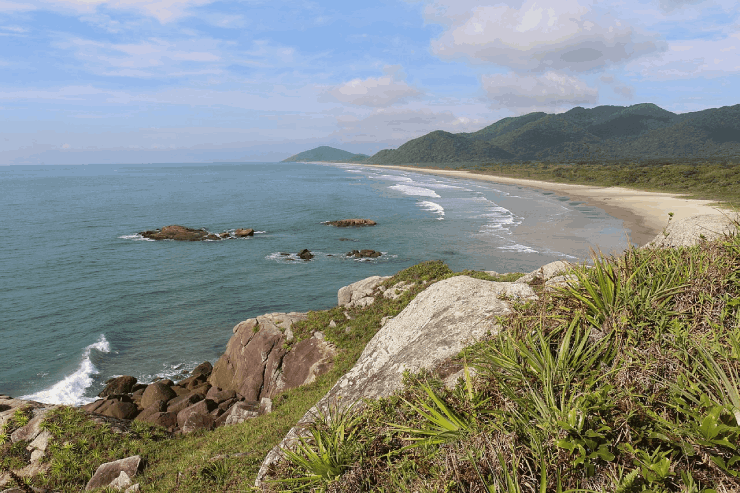 Ilha do Cardoso: conheça onde fica, como ir visitar e o que fazer nessa ...