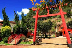 Santo Antônio do Pinhal: veja o que fazer, onde fica, melhores pontos ...