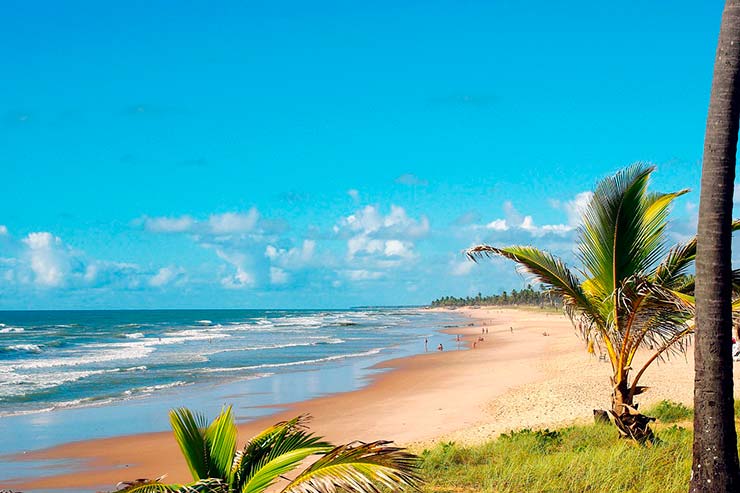 11 praias da Linha Verde para conhecer pelo litoral nordestino!