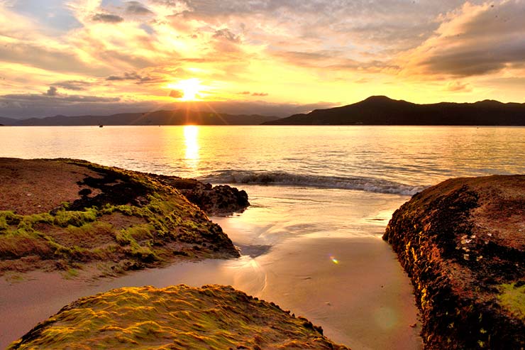 Praia do Rosa, Santa Catarina: onde fica, o que fazer, mapa e dicas