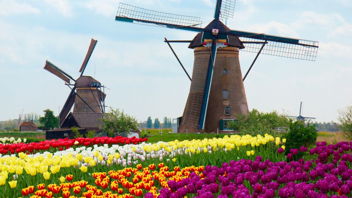 O que fazer na Holanda: pontos turísticos, principais cidades e mais!