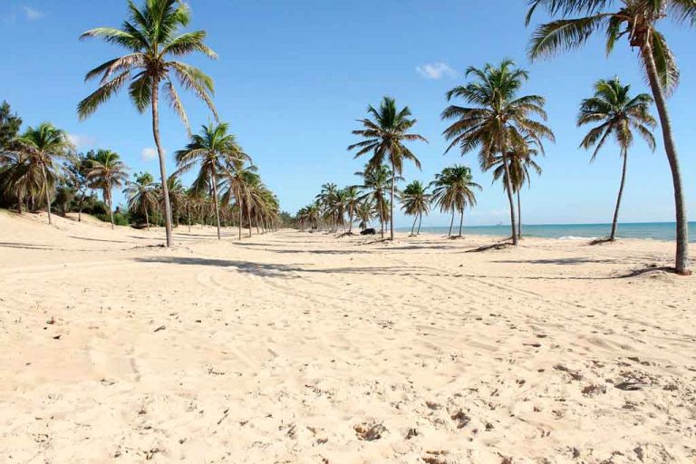 Praias do Ceará: Top 10 das praias mais bonitas do Ceará