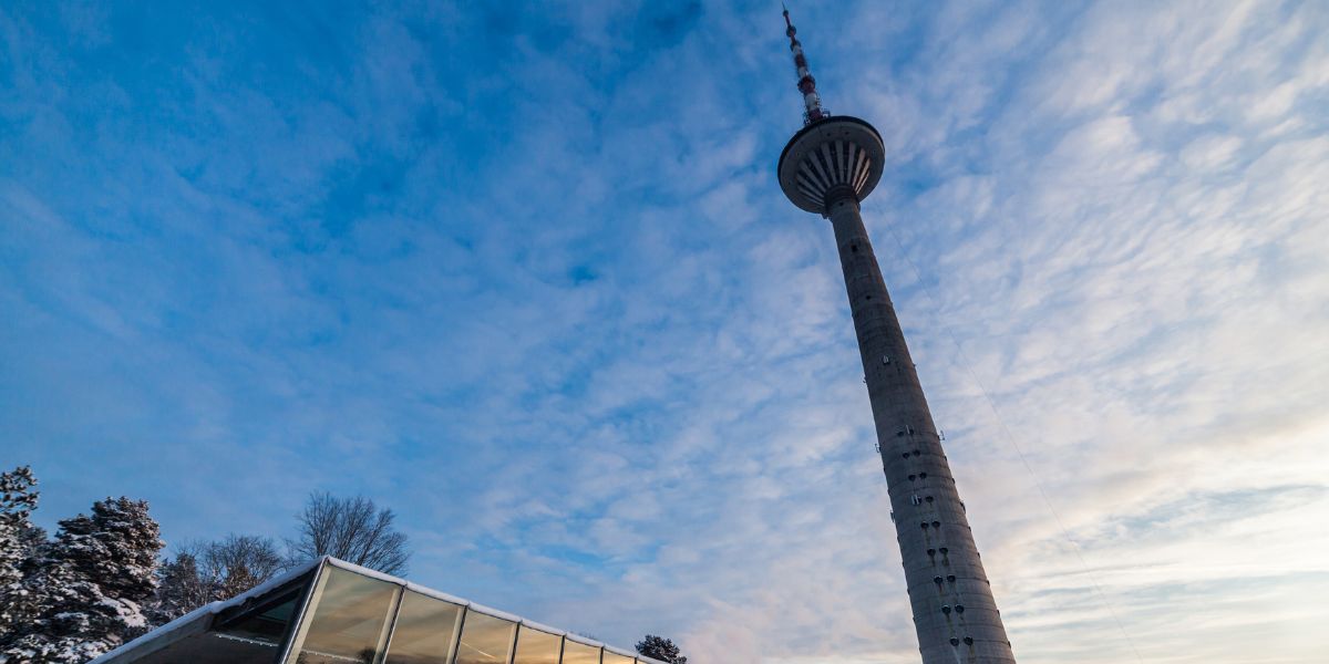 Descubra o que fazer em Tallinn: pontos turísticos e paisagens naturais