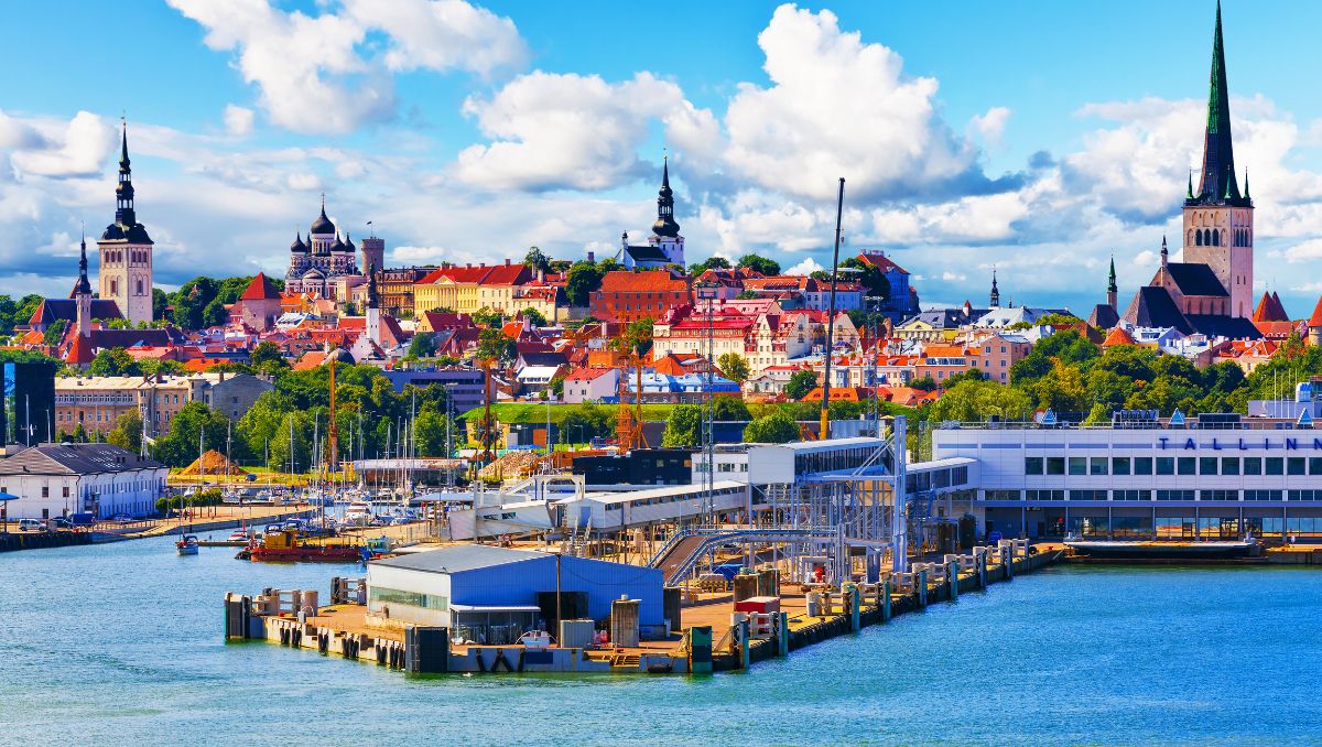 Descubra o que fazer em Tallinn: pontos turísticos e paisagens naturais